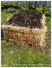 Straw Bale Garden – Straw Bale Gardening
