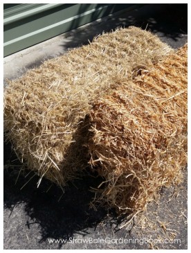 Straw Bale Garden – Straw Bale Gardening